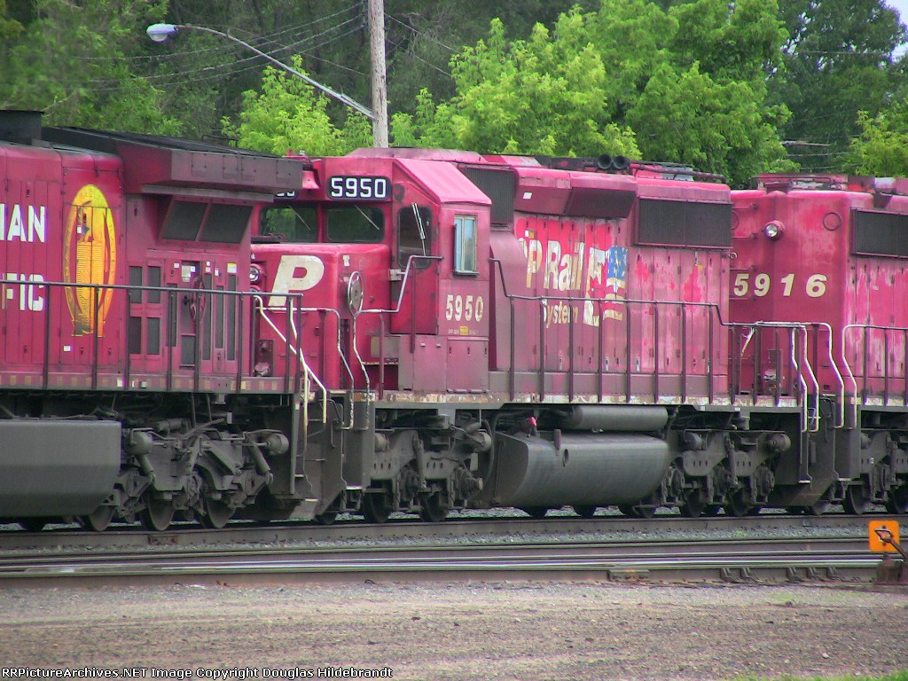 CP 5950